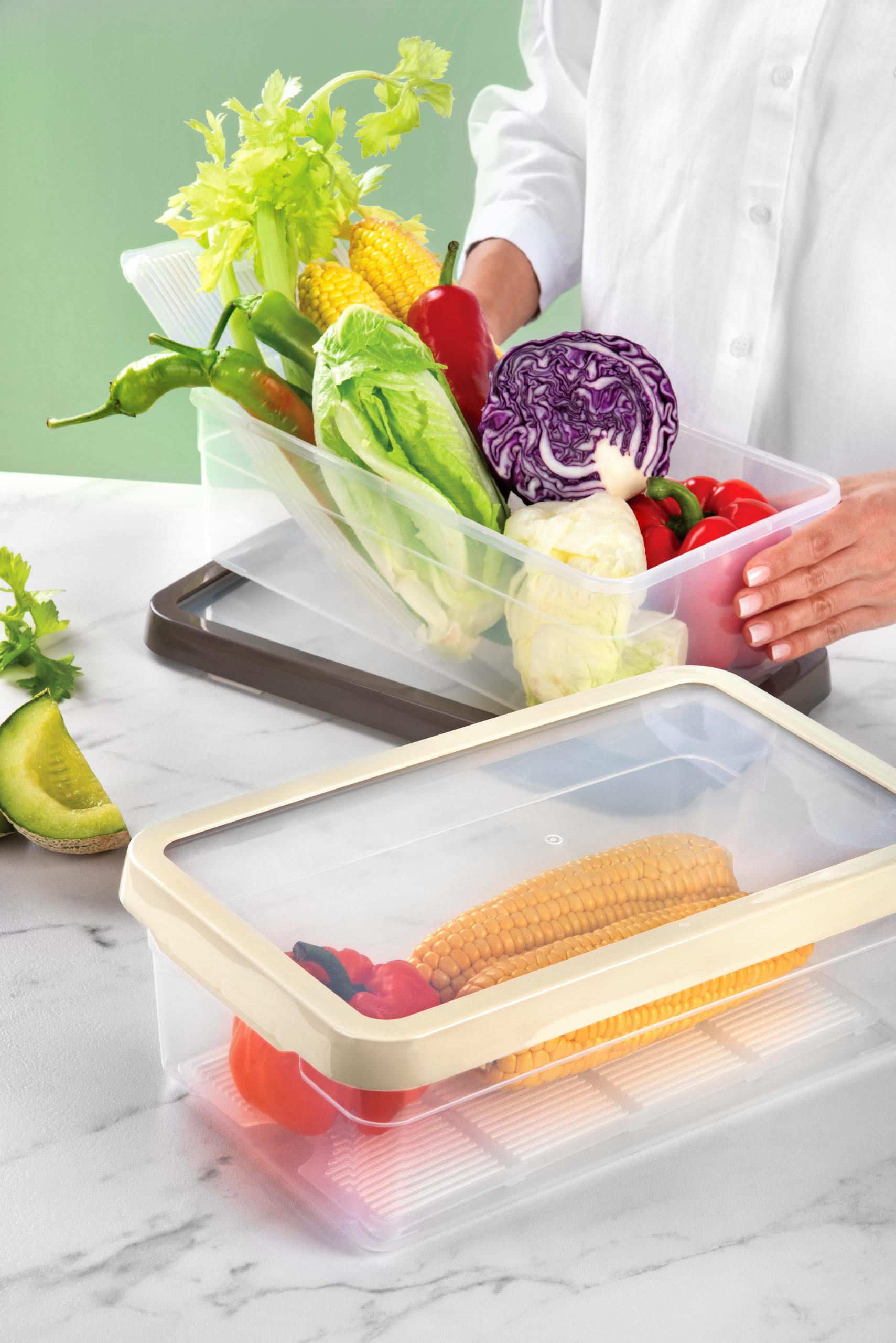 فریزری 4.5 لیتری - آریاسام پلاستیک پاسارگاد